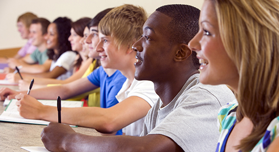 Course: Senior Division - Family Studies